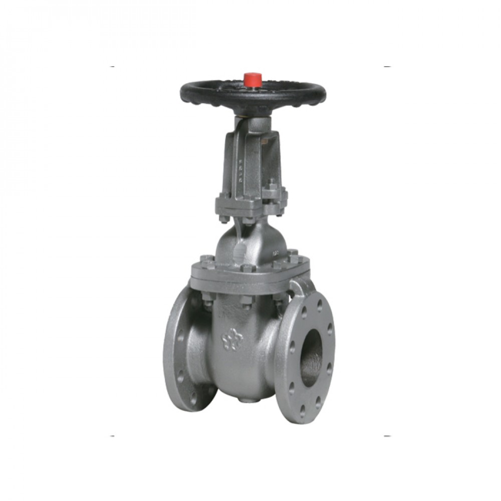 Yamato D16G Ductile Iron Gate Valve | TESS